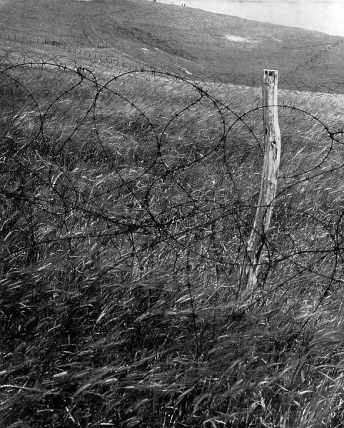 Barbed Wire Ww2 Barbed Wire Disease' During The First World War