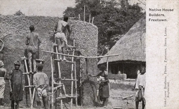 Sierra Leone Native Plants Sierra Leone | Culture, History, Maps,
