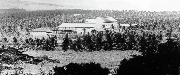 Sugar factory, St. Mary, Jamaica, early 1900s Date