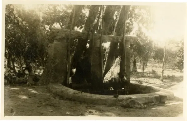 Shadoof Irrigation Painting Traditional Shaduf Or Shadoof Irrigation