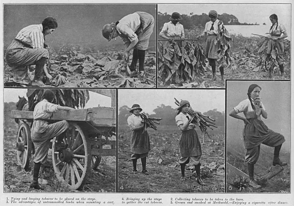 Farm Women In The 1800s