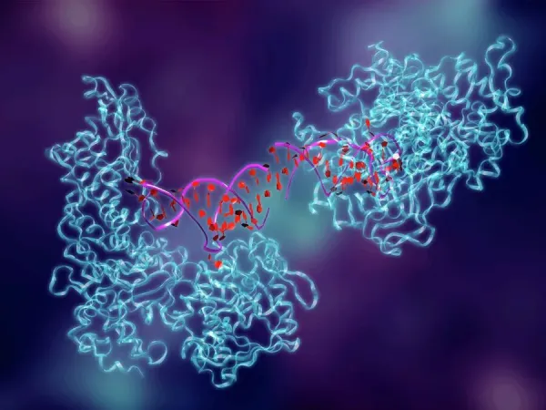 Metabolic enzyme, artwork Our beautiful Wall Art and Photo Gifts ...