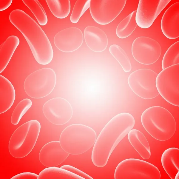 Red blood cells. Computer artwork of human red blood cells