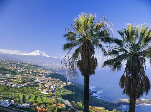 Tote Bag of North coast and Mount Teide, Tenerife