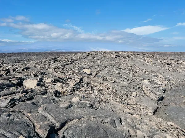 Pahoehoe lava on the youngest island in the Galapagos