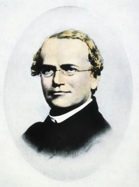 Gregor Johann Mendel Image Of Portrait Of Gregor Johann Mendel