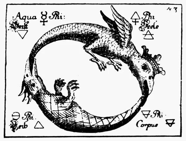 Dragao Ouroboros Asteca Ouroboros Past | Captain Hook (Iboga