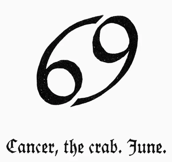 Zodiac signs as insects 60 photos - Astrologytoyou.com