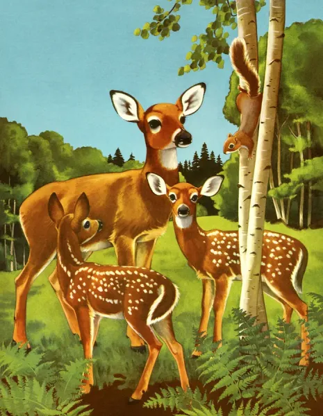 Fawn Painting Deer Painting, Poster, Prints, Originals, Commissions,