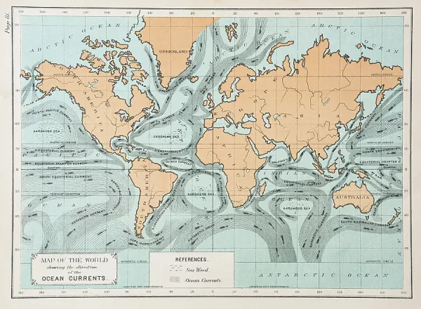 Jigsaw Puzzle of Map of the World showing the direction of the ocean