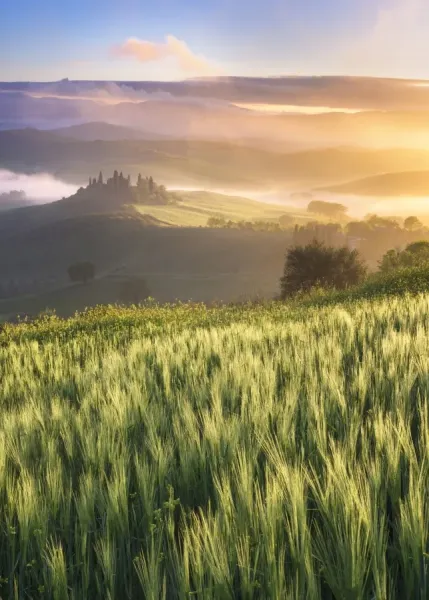 Tuscany Landscape For sale as Framed Prints, Photos, Wall Art and Photo ...