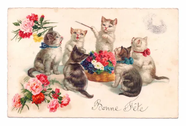 Vintage Cat Postcards Animal Cat Or Cats Postcard Anthropomorphic
