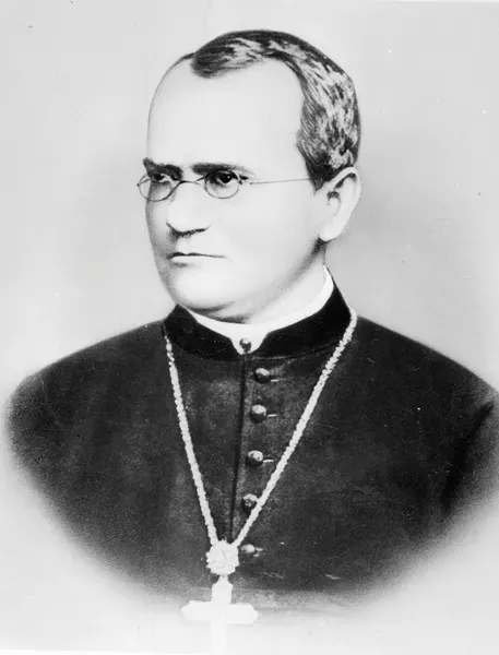 Gregor Johann Mendel Image Of Portrait Of Gregor Johann Mendel