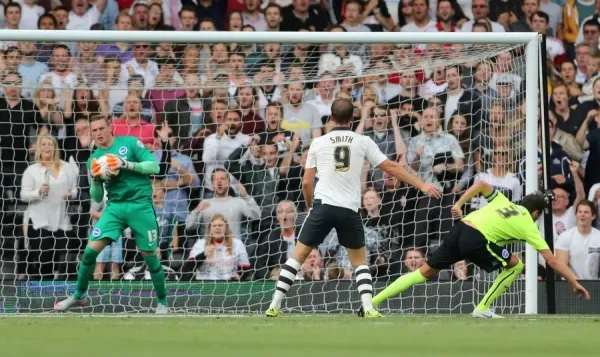 Brightons David Stockdale Saves: Fulham vs Our beautiful Wall Art and ...