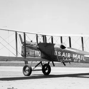 Illustration of a Sharp-shinned hawk (Accipiter striatus) #13543003