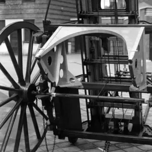 Crabeater Seal group on ice. Antarctic Pennisular Our beautiful Wall ...