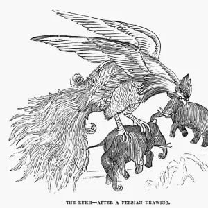 Roc Giant Bird Myth ArtStation [Study] Roc Bird Monster Concept