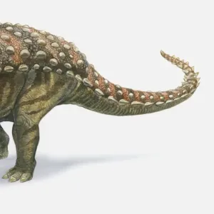 Parasaurolophus, side view Our beautiful Wall Art and Photo Gifts ...