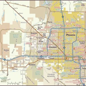Glass Coaster of Saguaro USA, Arizona, Maricopa, Phoenix
