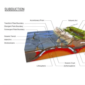 Illustration of Earths tectonic plates Our beautiful Wall Art and Photo ...