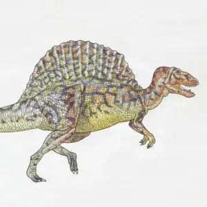 Parasaurolophus, side view Our beautiful Wall Art and Photo Gifts ...
