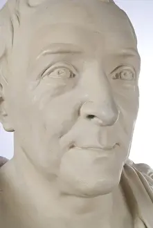 Carl Linnaeus (Famous Inventors Scientists)