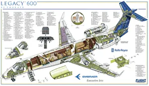 Cutaway Posters Prints