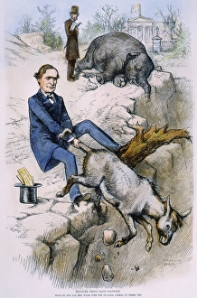 Origional Donkey And Elephant Political Cartoon How A Donkey And An