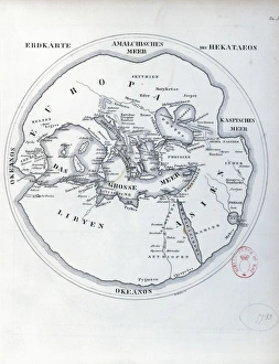 Miletus (Cricetidae, Mammals, Animals) Collection