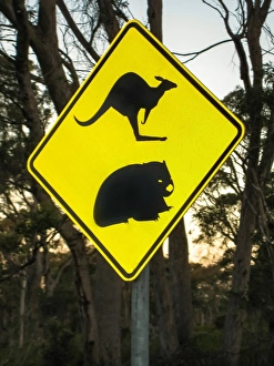 Road Signs Art Prints Collection