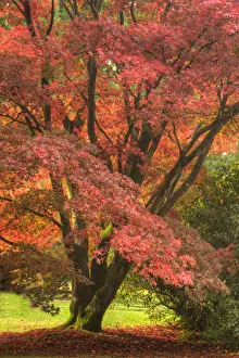 Steve Stringer Photography Art Prints, Posters & Puzzles