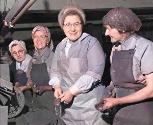 Sheffield Art Prints Collection