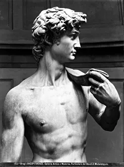 David (sculpture) (Michelangelo Buonarroti, Artists)